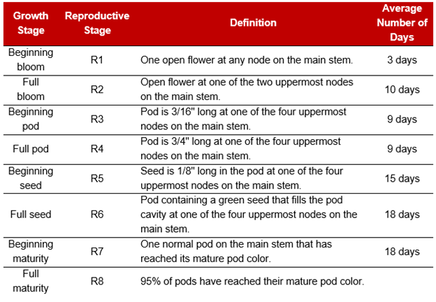 Soybean Flowering and Reproductive Stage | Dairyland Seed