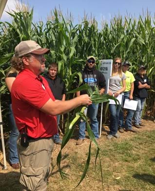 HiDF Silage Remains at the Heart of Dairyland Seed | Dairyland Seed Co